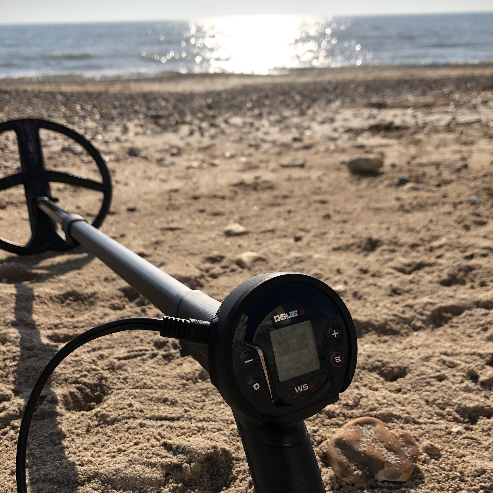 Unearthing History: The Thrill of Metal Detecting! - Treasure Hunting World